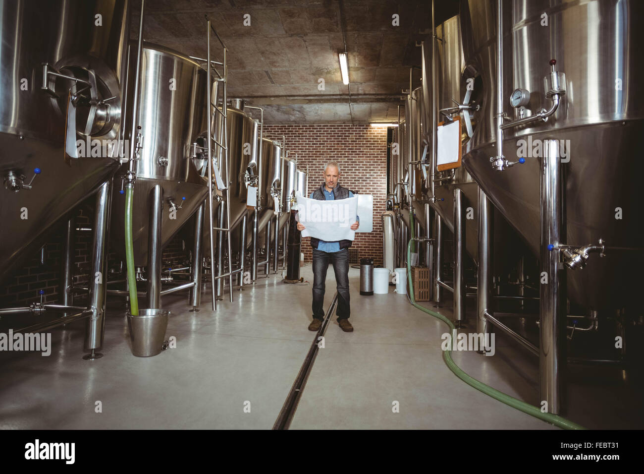 Local brewer standing in the plant Stock Photo - Alamy