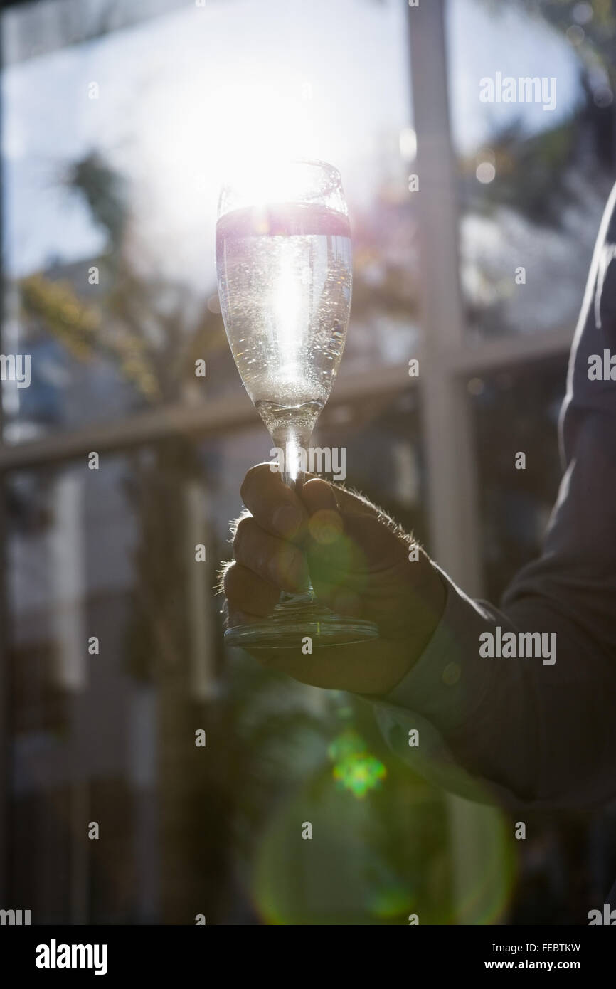 Man toasting with champagne Stock Photo - Alamy
