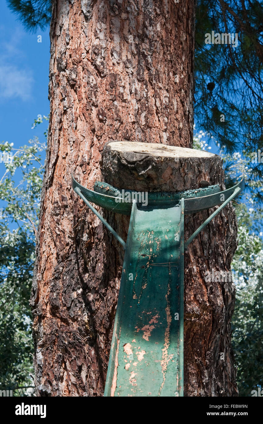 Metallic beam to prop up a tree in a public garden Stock Photo - Alamy