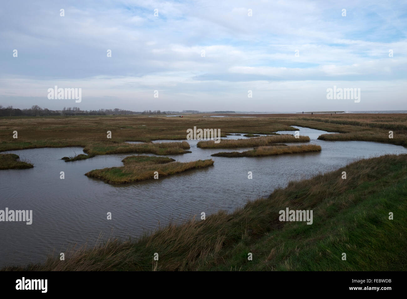 Salt marsh uk hi-res stock photography and images - Alamy