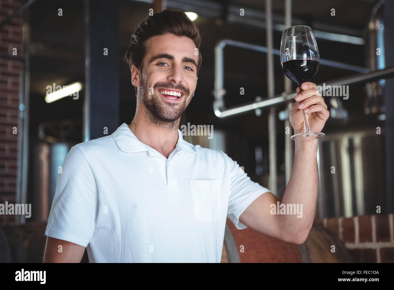 Winemaker examining glass of red wine Stock Photo - Alamy