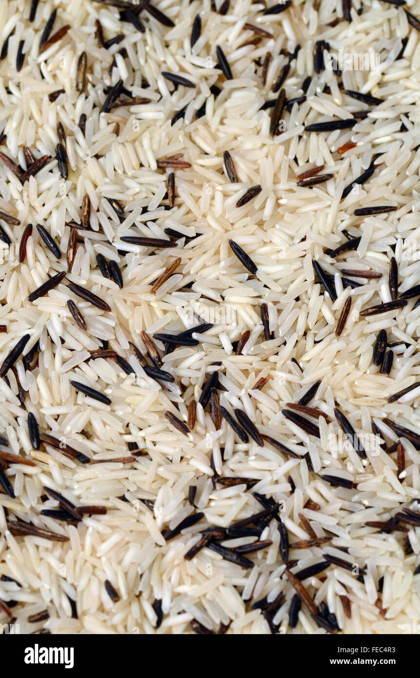 Uncooked Rice (Basmati mixed with wild Rice Stock Photo - Alamy