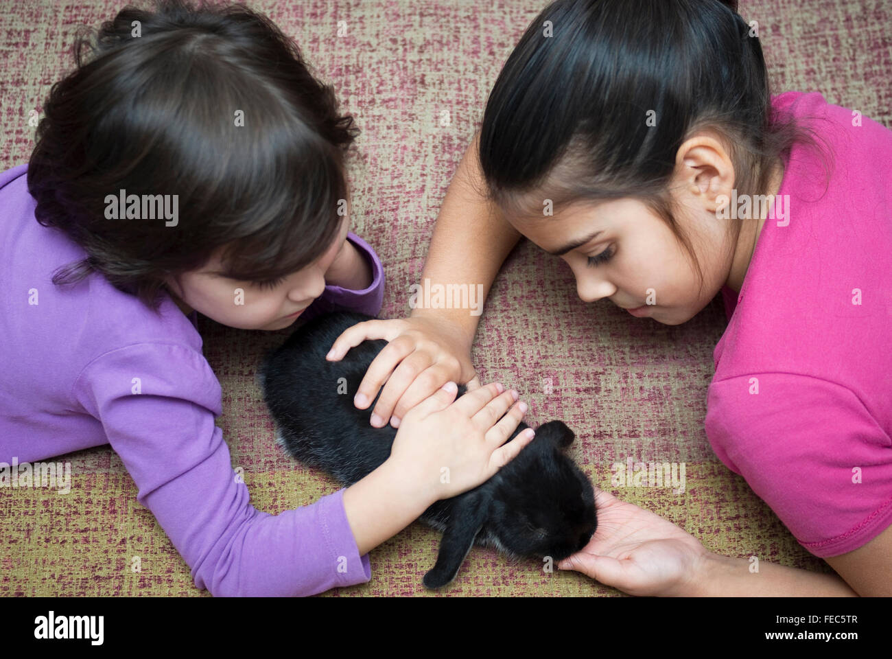 Girls playing with rabbit at home Stock Photo - Alamy
