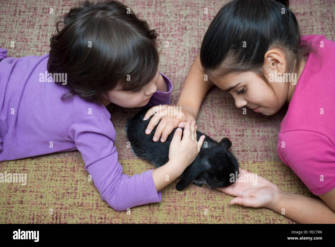 Girls playing with rabbit at home Stock Photo - Alamy