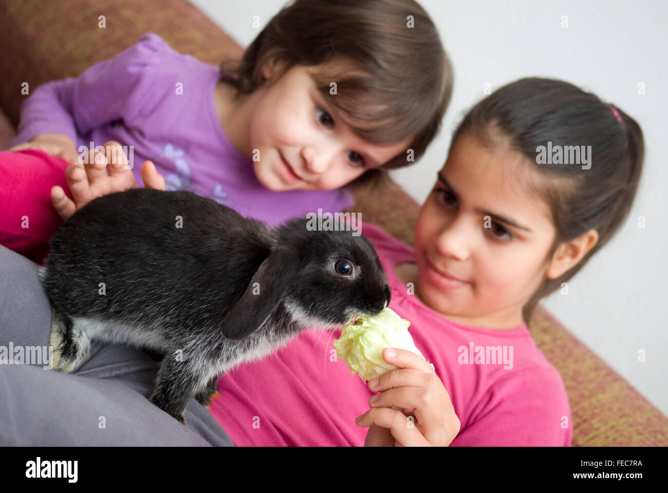 Girls playing with rabbit at home Stock Photo - Alamy