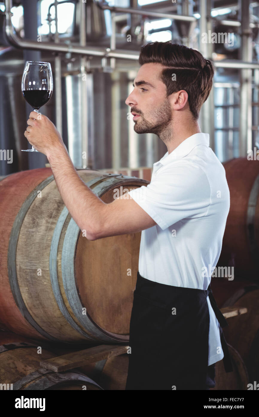 Winemaker examining glass of red wine Stock Photo - Alamy