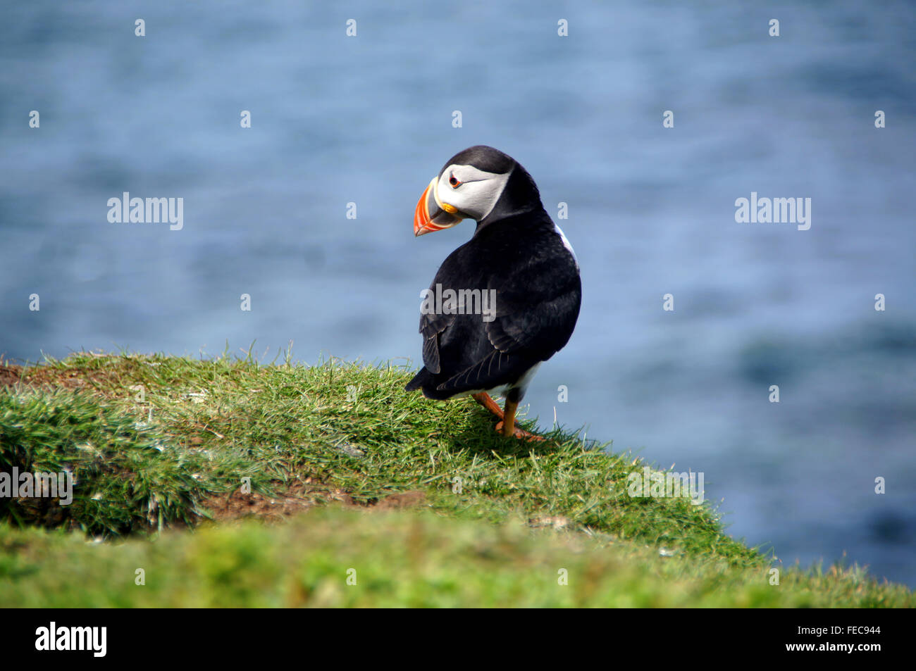 Isle of lunga art hi-res stock photography and images - Alamy