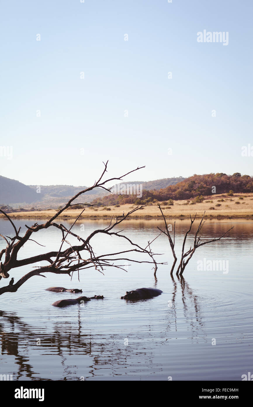 Beautiful peaceful nature scene Stock Photo - Alamy