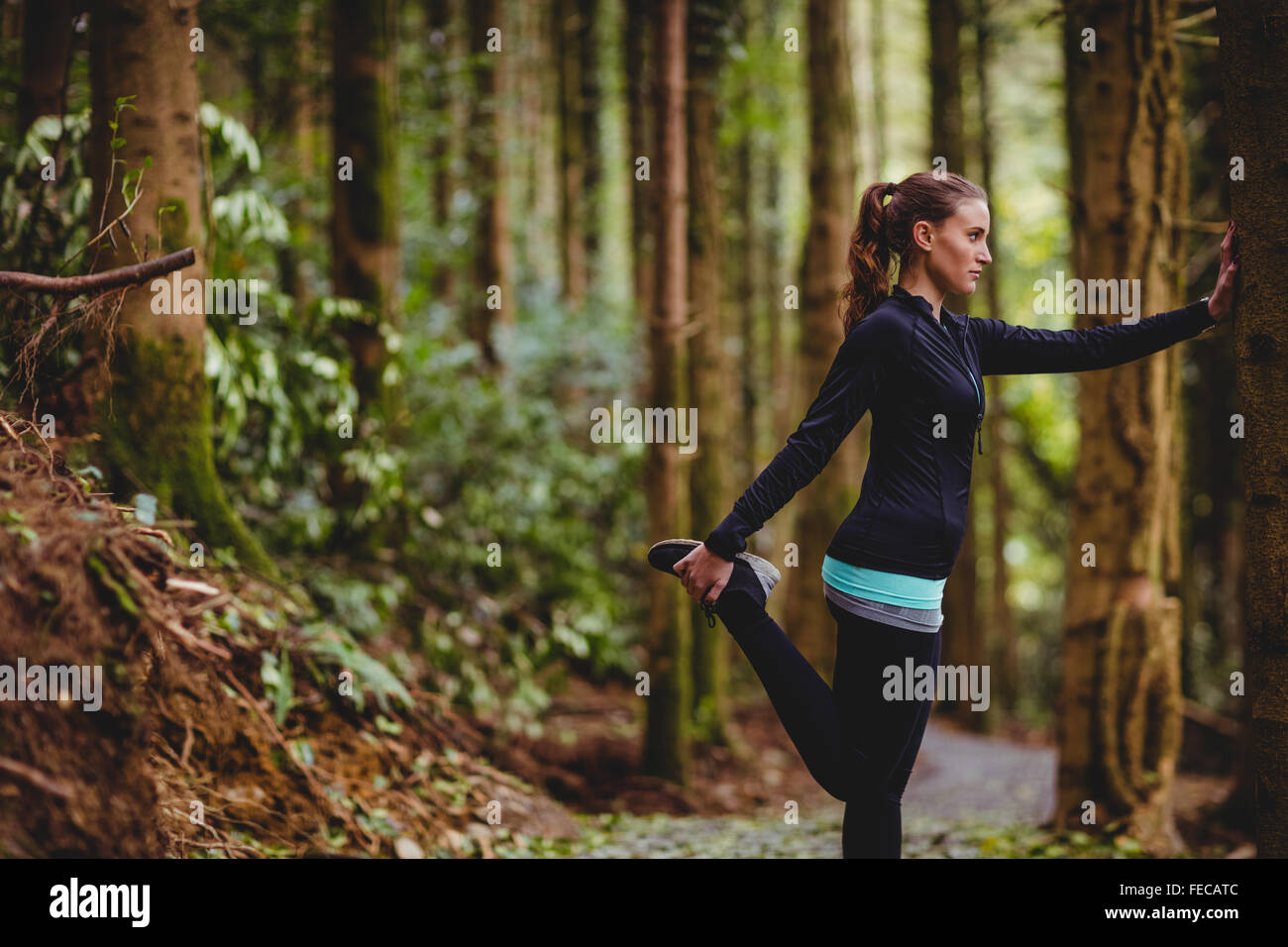 Fit brunette stretching against a tree Stock Photo - Alamy