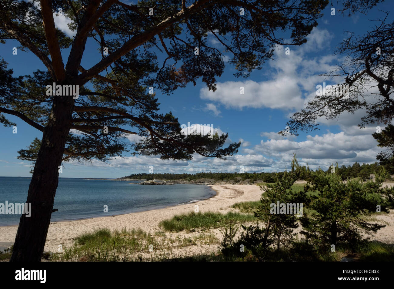 Stockholms finest beach hi-res stock photography and images - Alamy