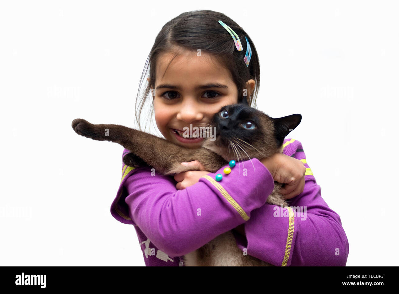 Little girl with Siamese cat Stock Photo - Alamy