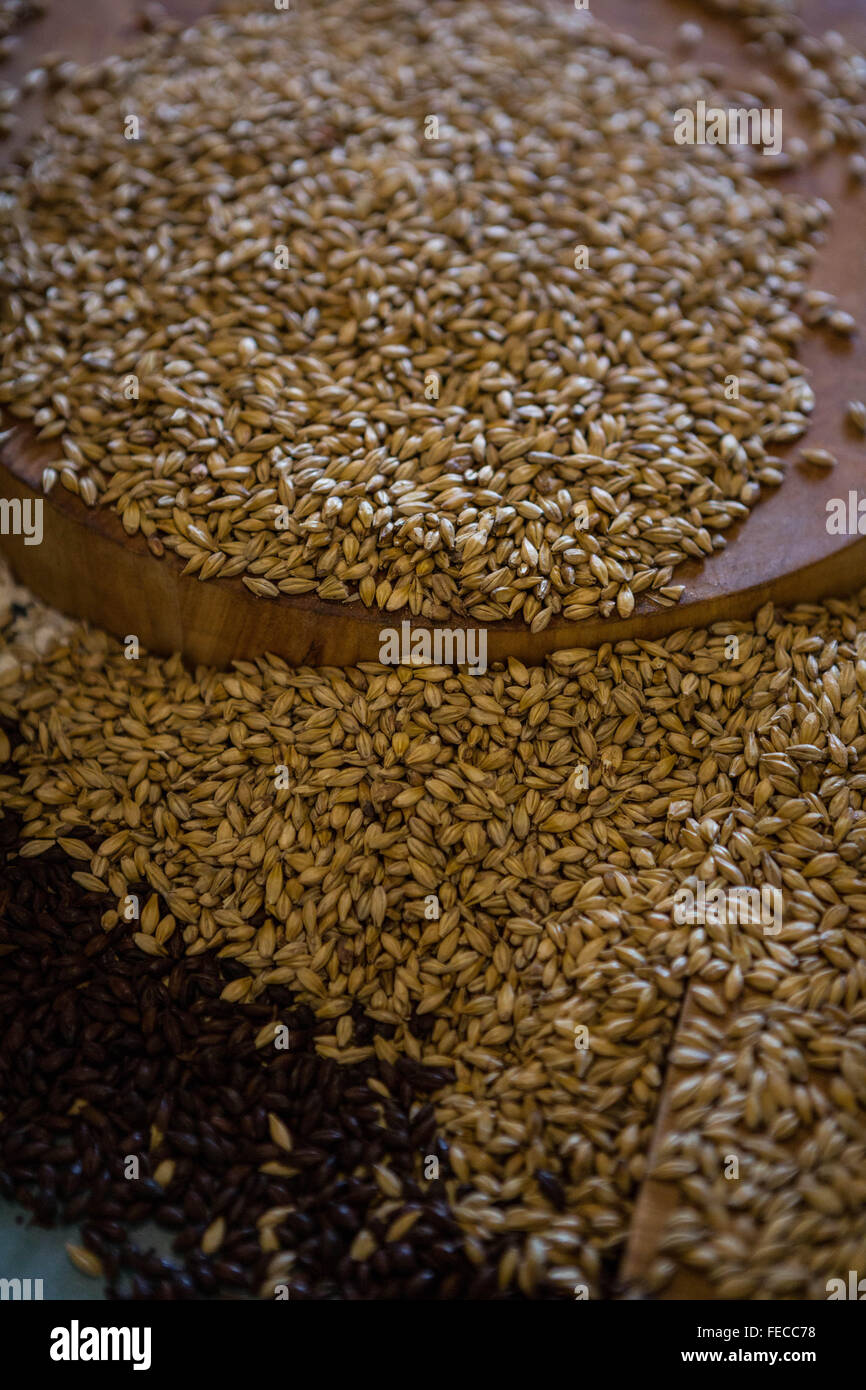 Beer brewing grains hi-res stock photography and images - Alamy