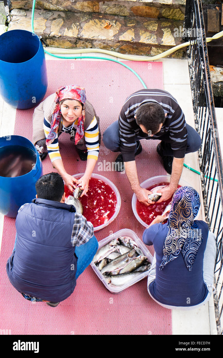 Fish gutting hi-res stock photography and images - Alamy