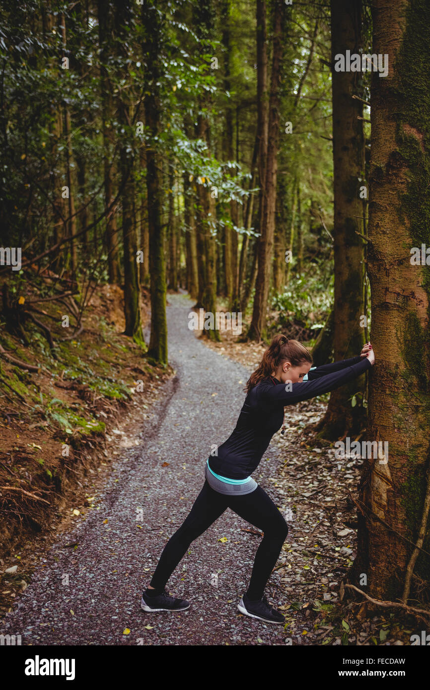 Fit brunette stretching against a tree Stock Photo - Alamy