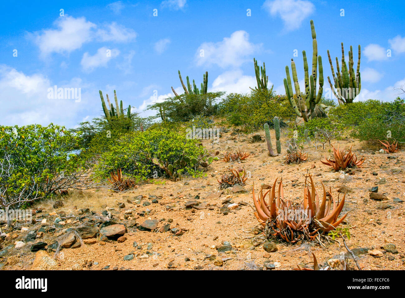 Aruba landmarks hi-res stock photography and images - Alamy