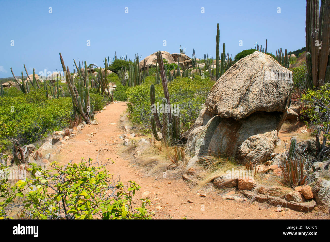 Aruba landmarks hi-res stock photography and images - Alamy