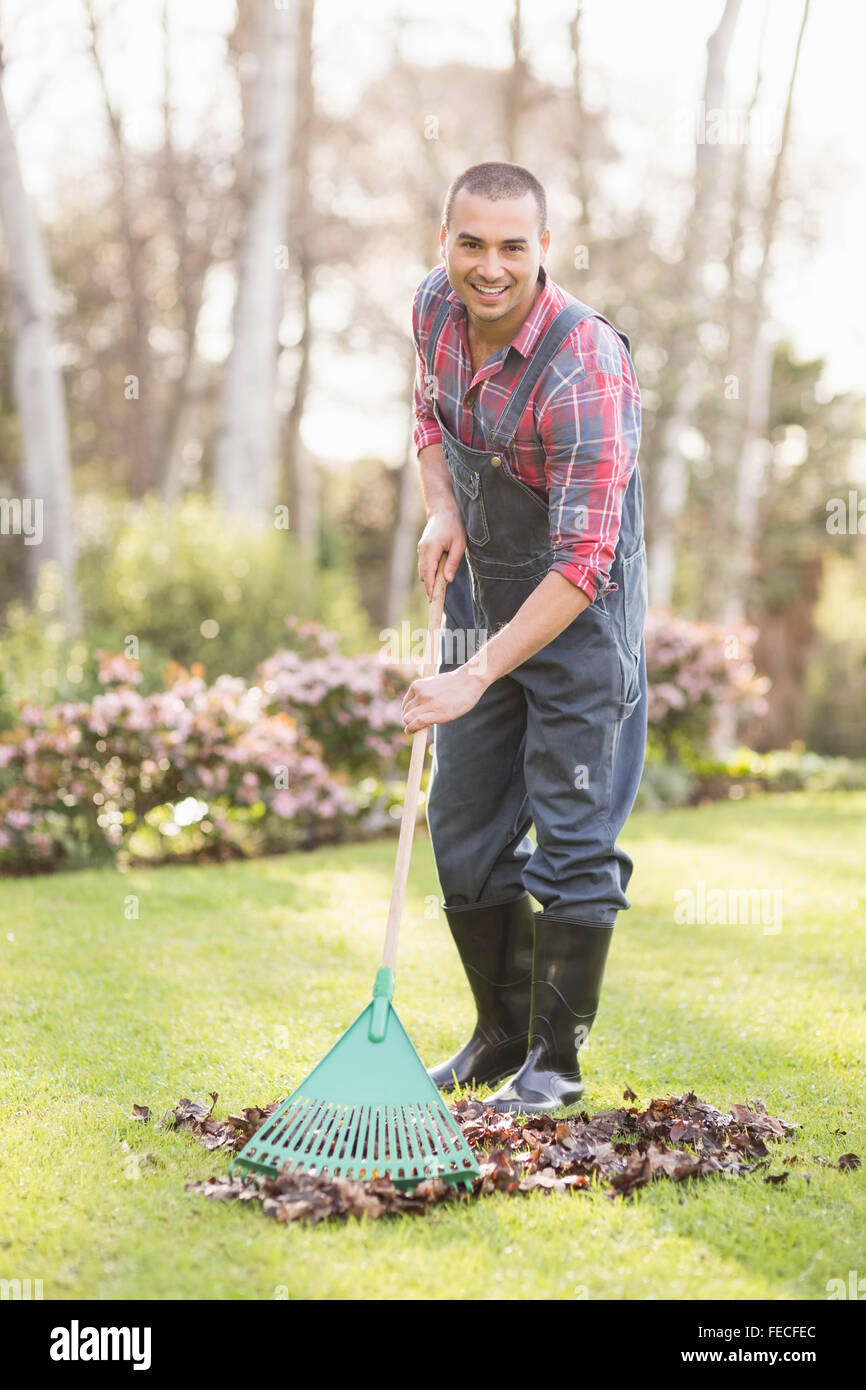 Gardener man raking the leaves Stock Photo - Alamy