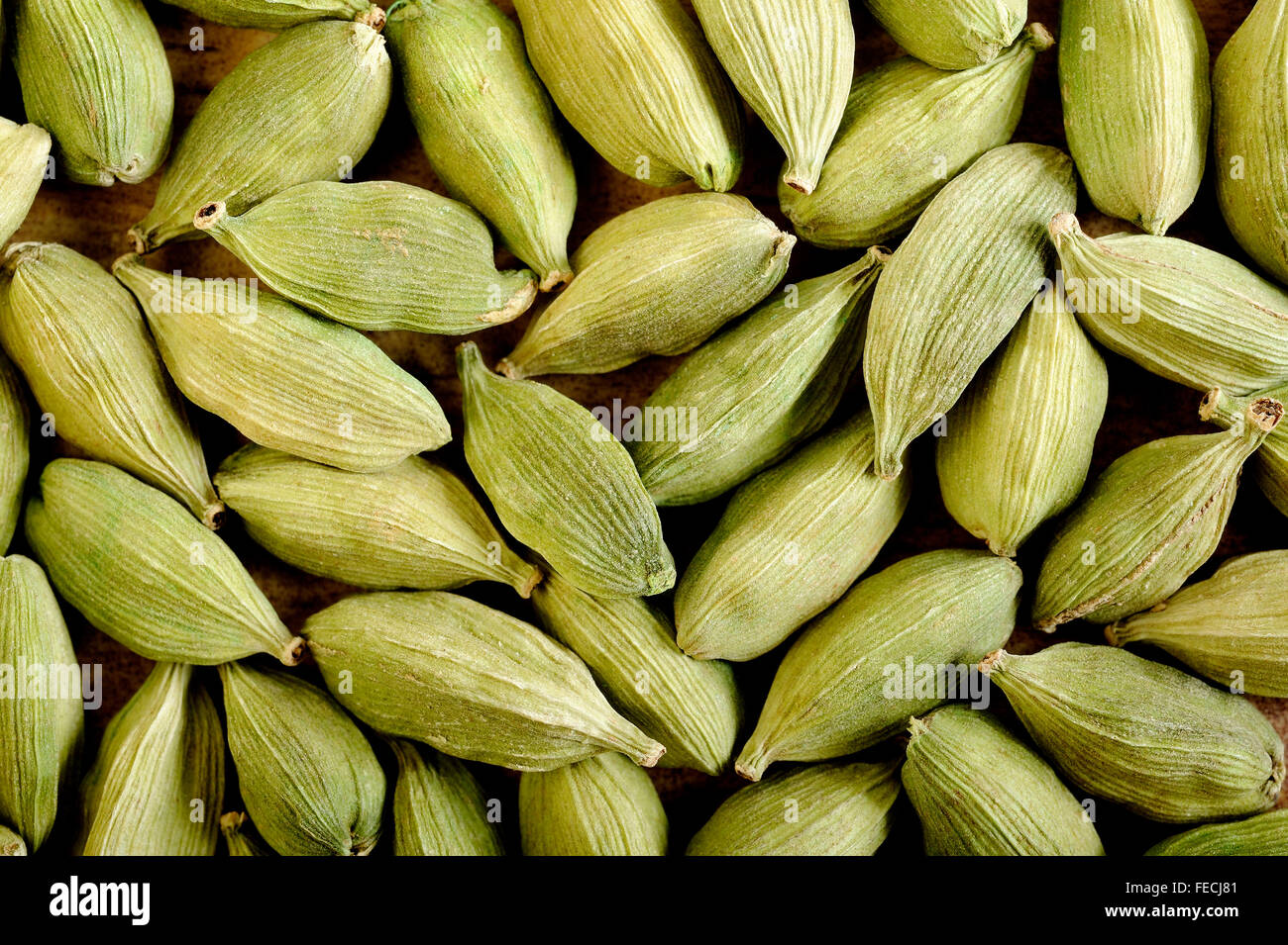 Cardamom Plant High Resolution Stock Photography and Images - Alamy