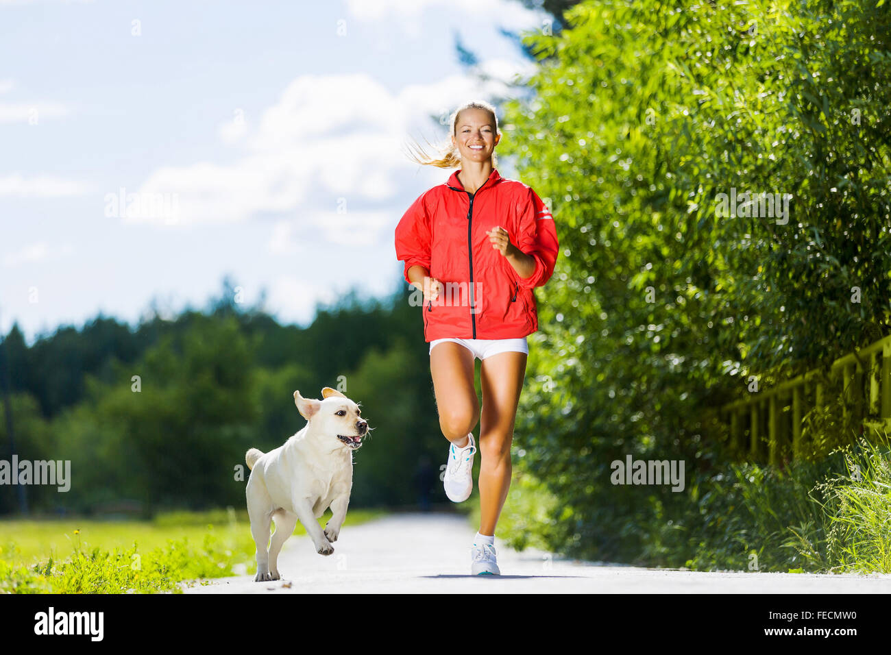 Young attractive sport girl running with dog in park Stock Photo - Alamy