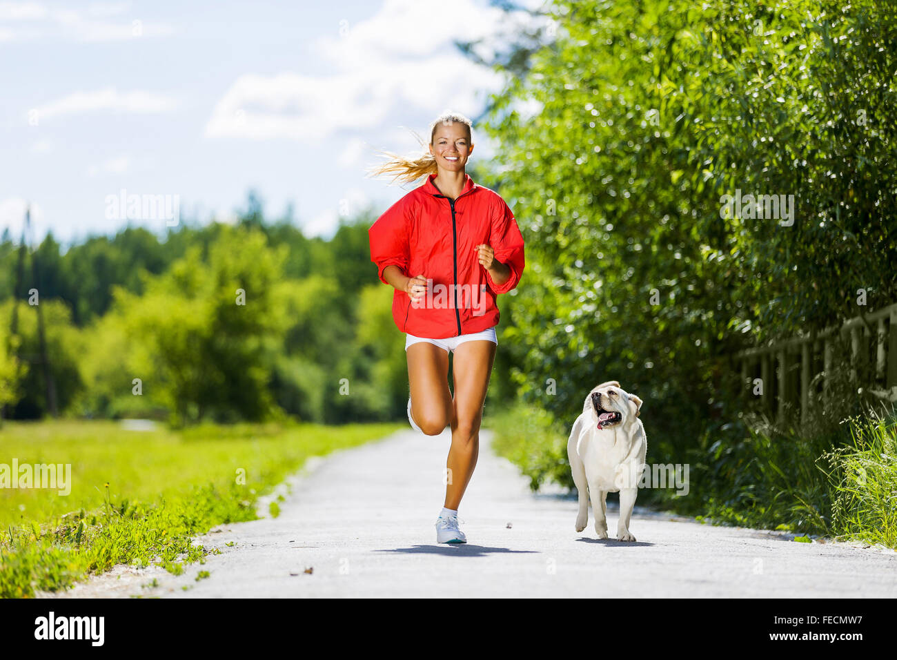 Young attractive sport girl running with dog in park Stock Photo - Alamy