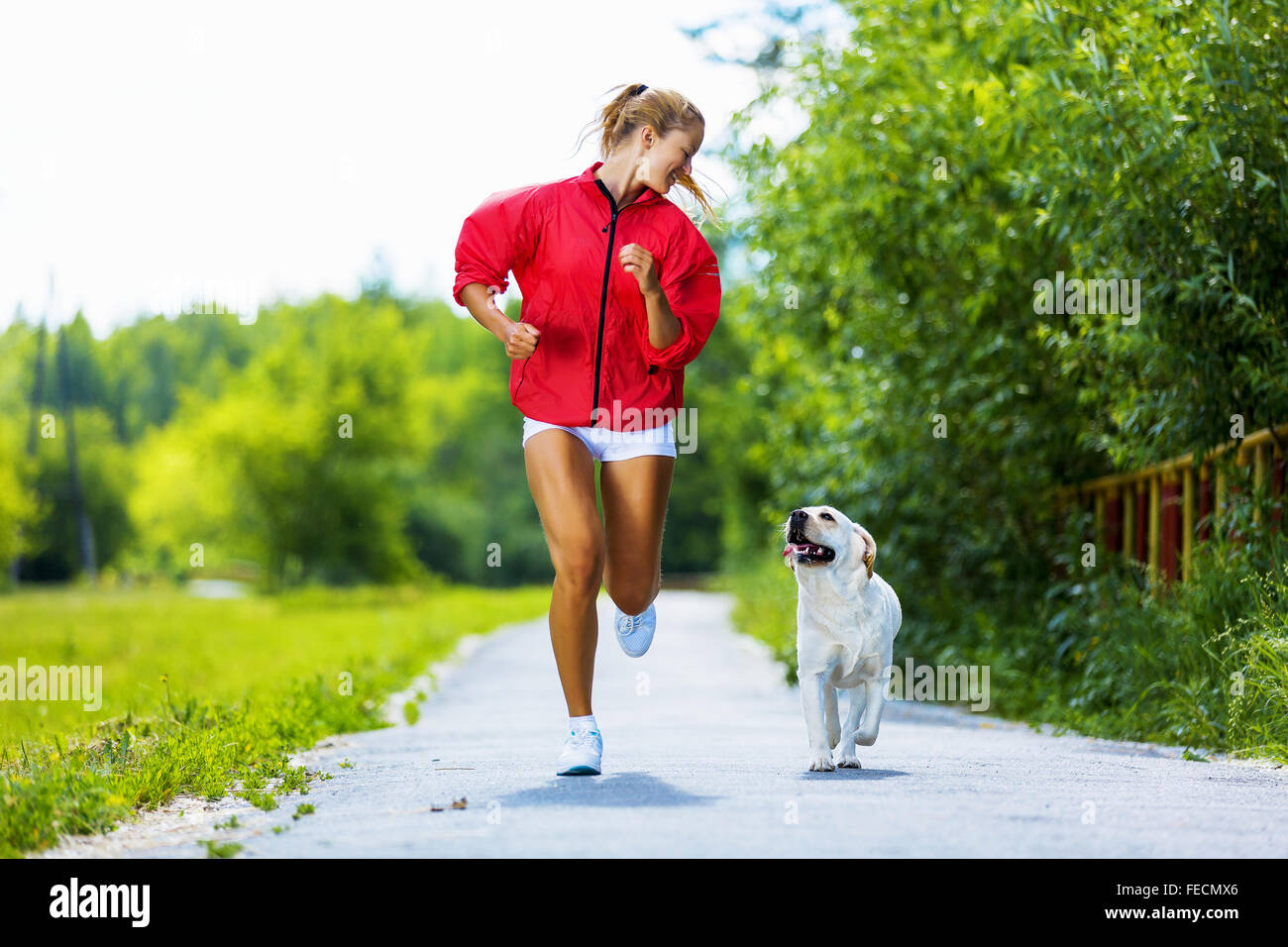 Young attractive sport girl running with dog in park Stock Photo - Alamy