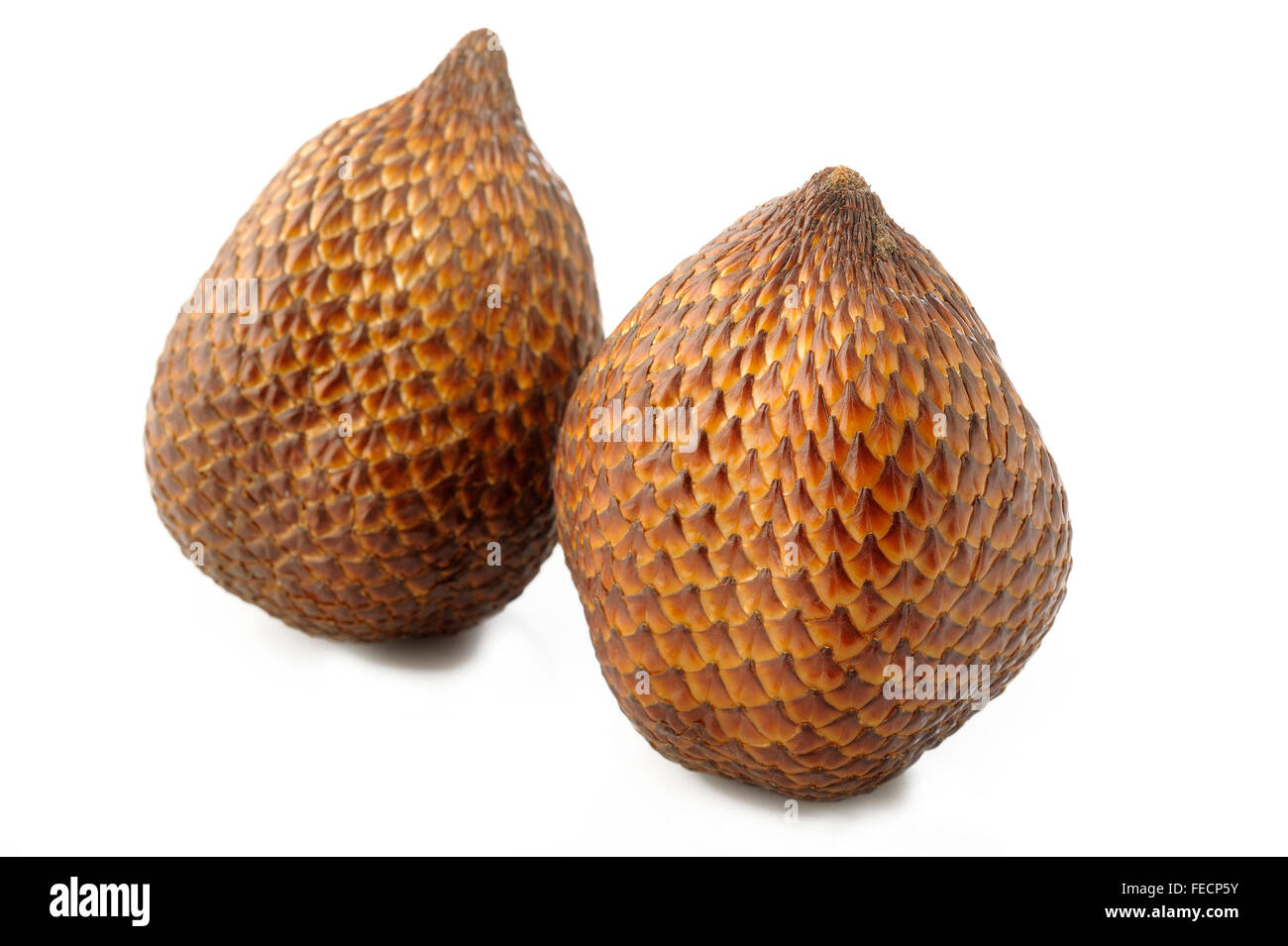 salak bali fruit on white background Stock Photo - Alamy