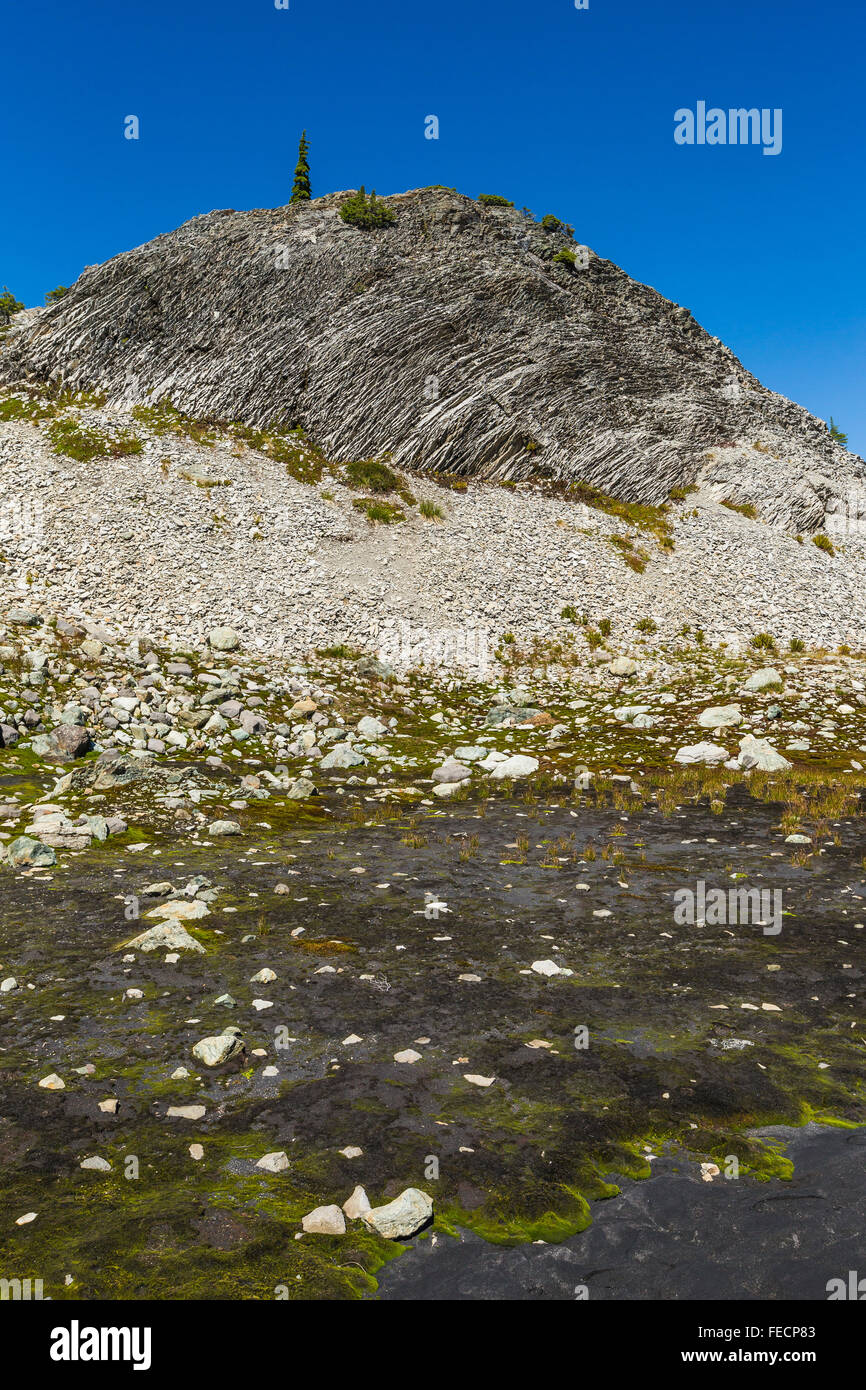 Andesite rock formation hi-res stock photography and images - Alamy