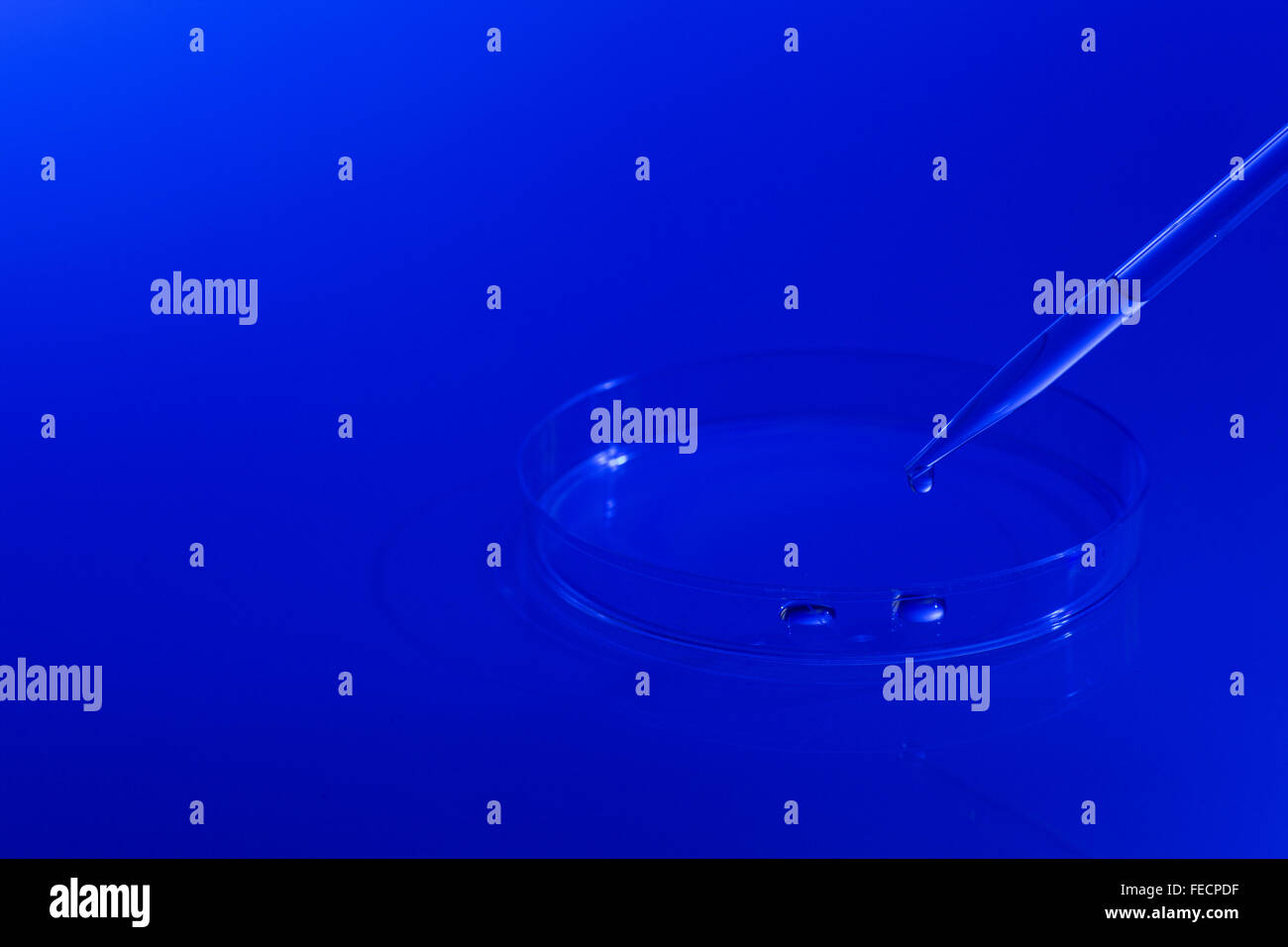 Image of droplet and glass plate. Microbiological laboratory Stock ...