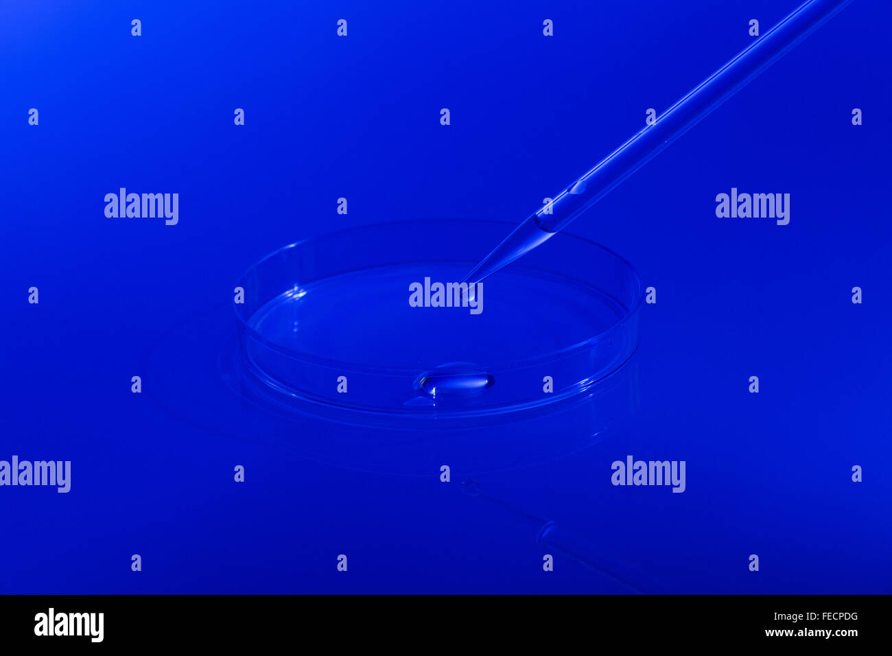 Image of droplet and glass plate. Microbiological laboratory Stock ...