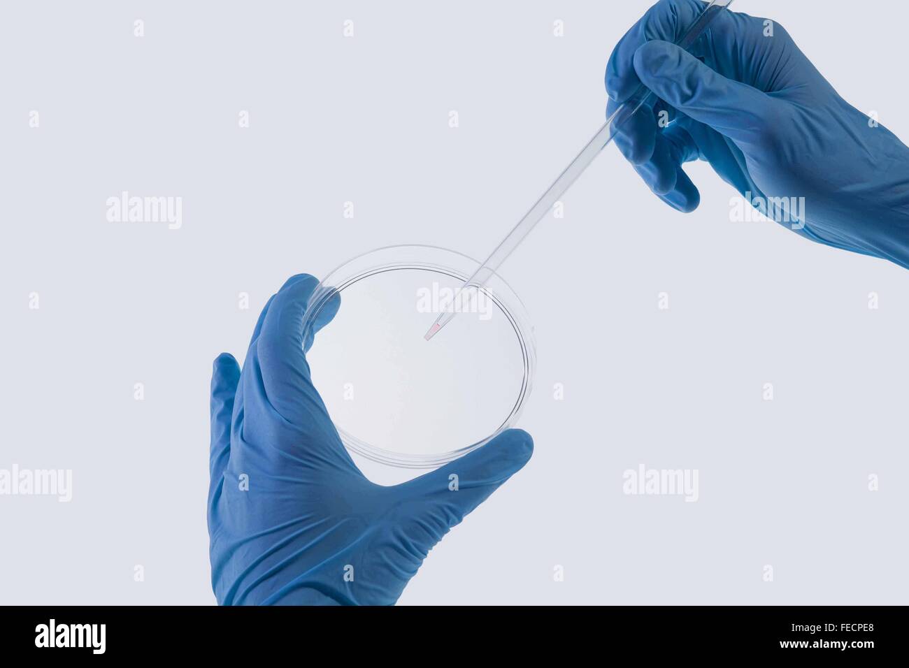 Scientist hands hi-res stock photography and images - Alamy