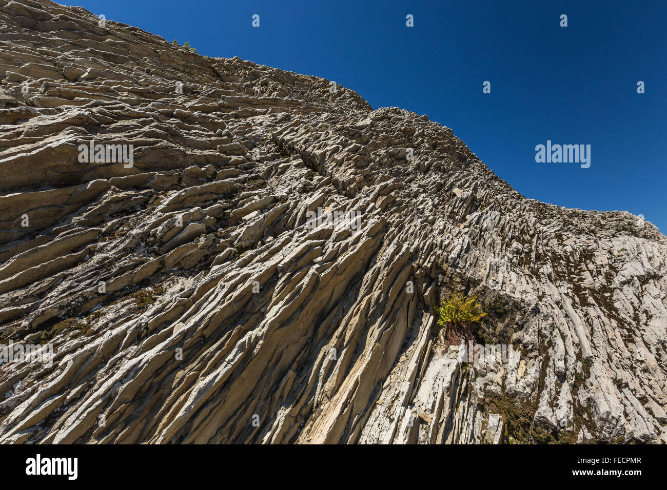 Outcrops of the Pinus Lake Andesite Formation along the Table Mountain ...