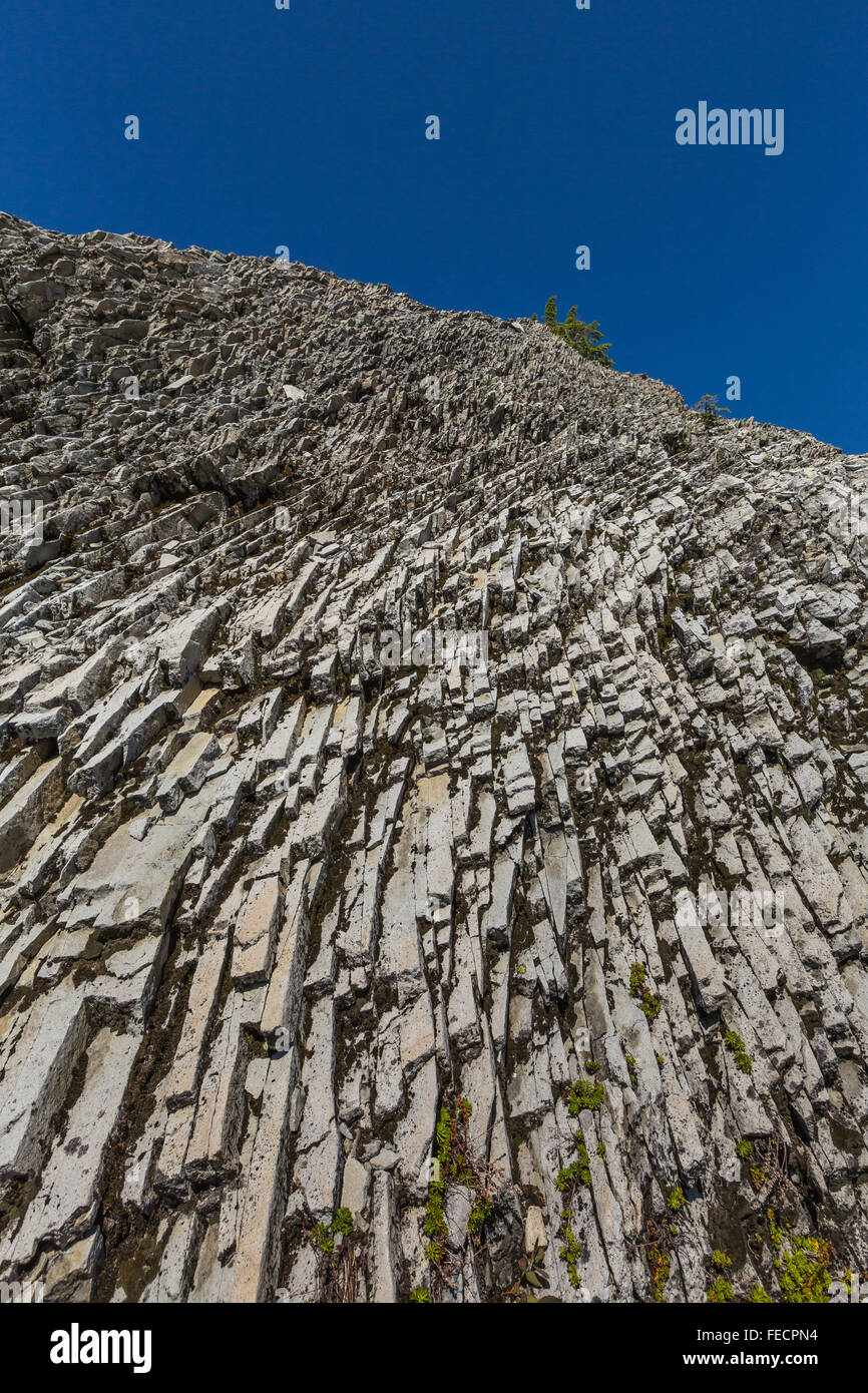 Outcrops of the Pinus Lake Andesite Formation along the Table Mountain ...
