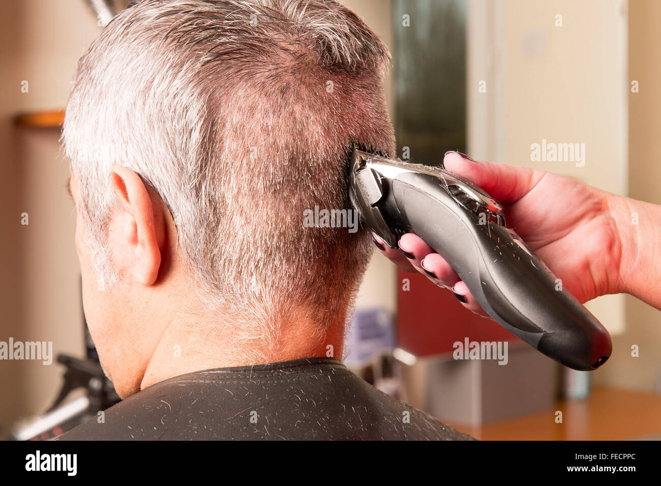 woman cuts hair with scissors, razor in professional hairdressing salon ...