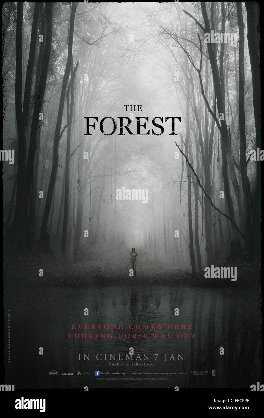 Jason zada hi-res stock photography and images - Alamy