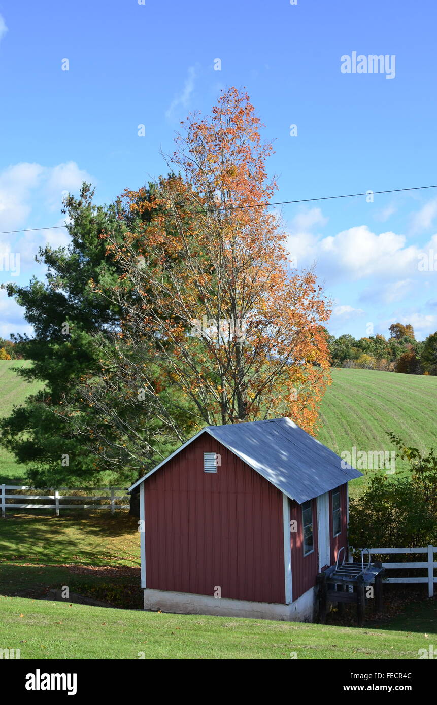 Redwood building hi-res stock photography and images - Alamy
