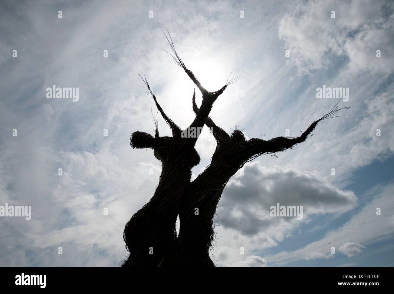 The wicker tree hi-res stock photography and images - Alamy