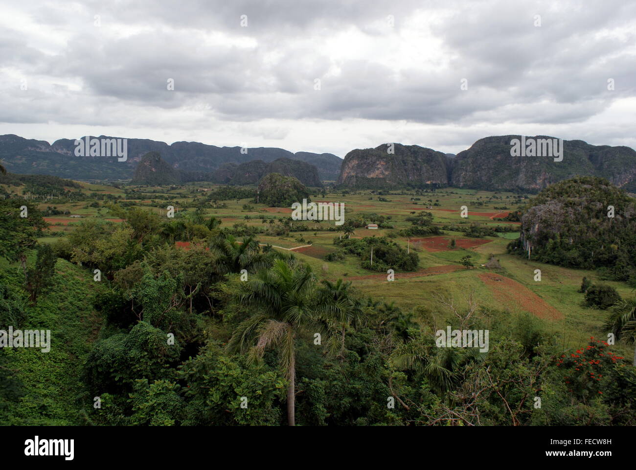 Limestone mogotes, Vinales Valley, Cuba Stock Photo - Alamy