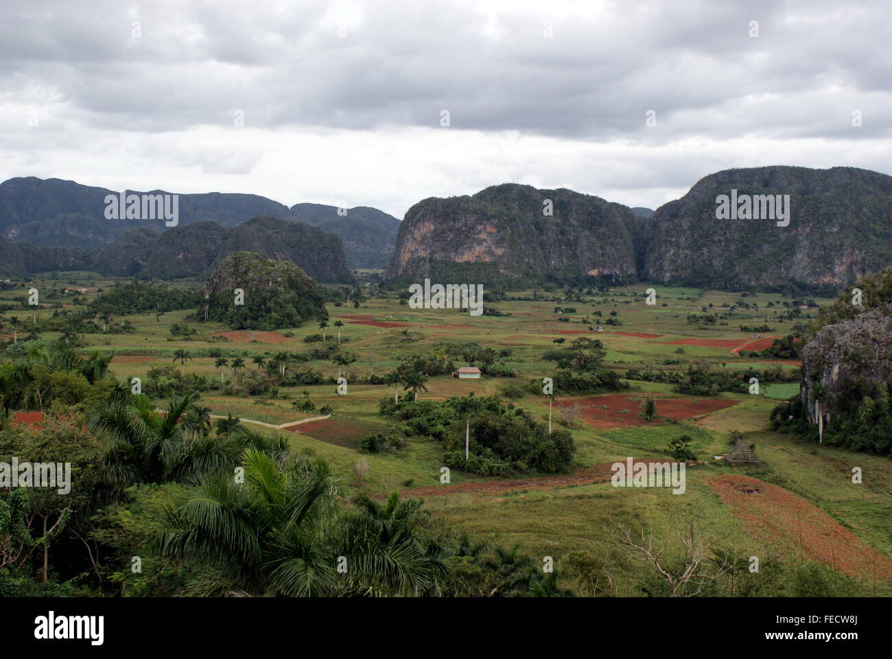 Limestone mogotes, Vinales Valley, Cuba Stock Photo - Alamy