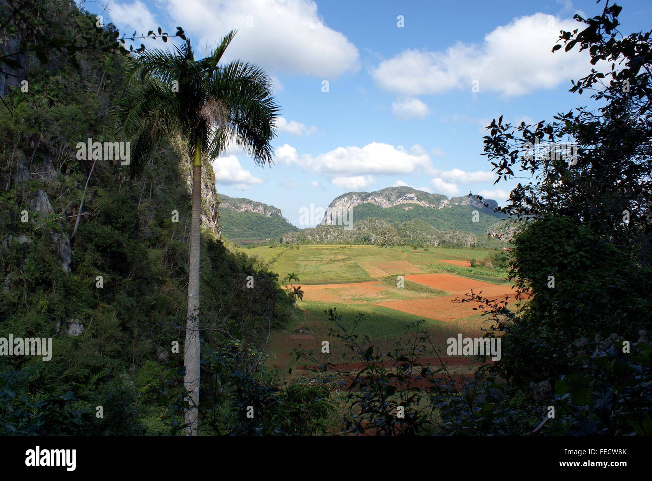 Limestone mogote hi-res stock photography and images - Alamy