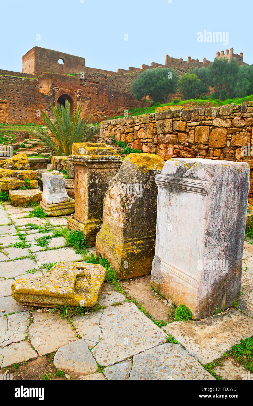 chellah in morocco africa the old roman deteriorated monument and site ...