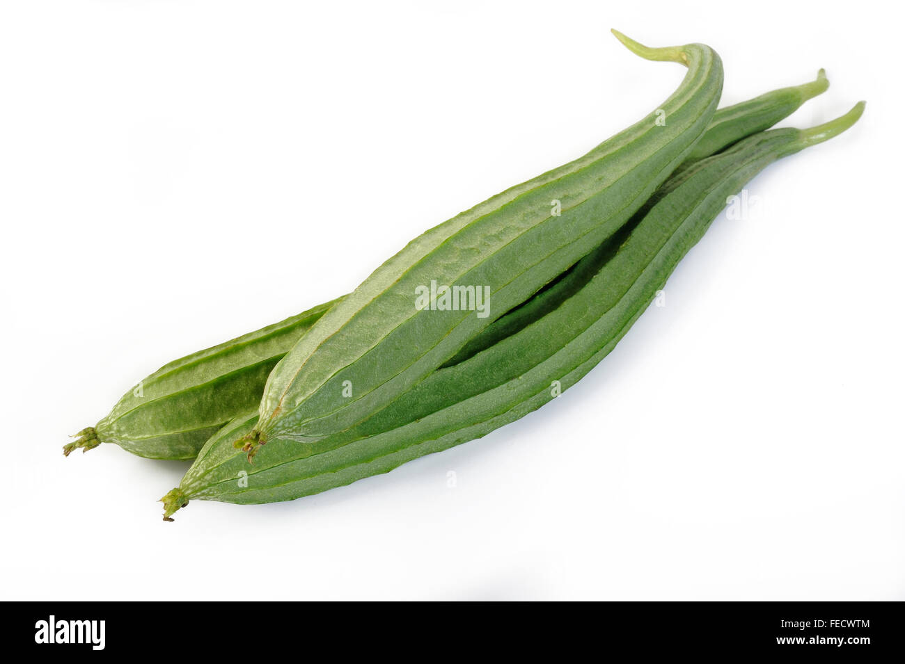 Angled loofah on white background Stock Photo - Alamy