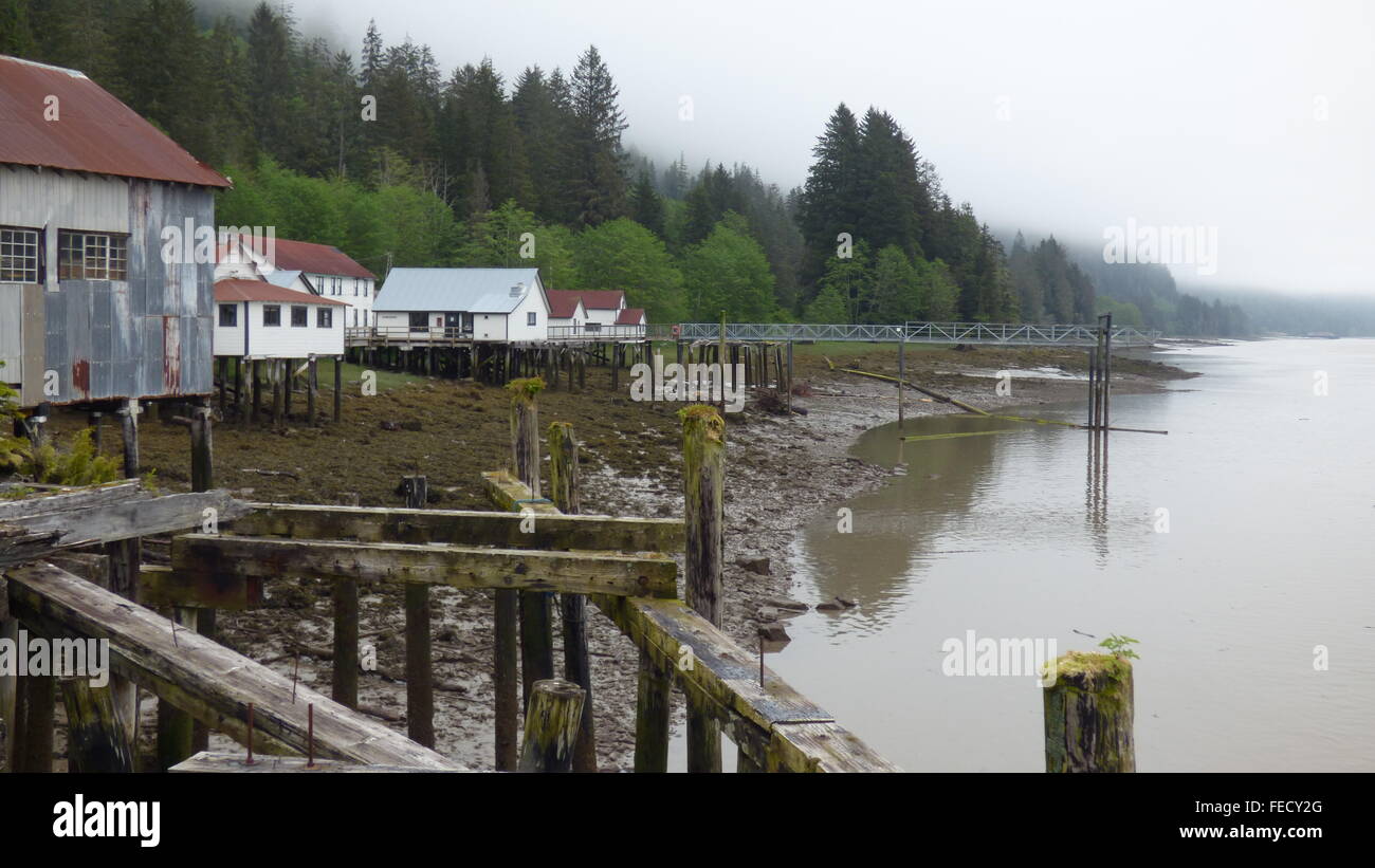 Salmon cannery hi-res stock photography and images - Alamy