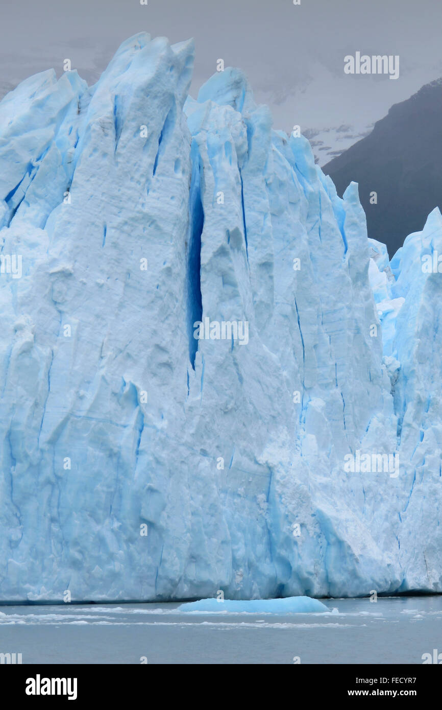 Patagonian ecosystem hi-res stock photography and images - Alamy
