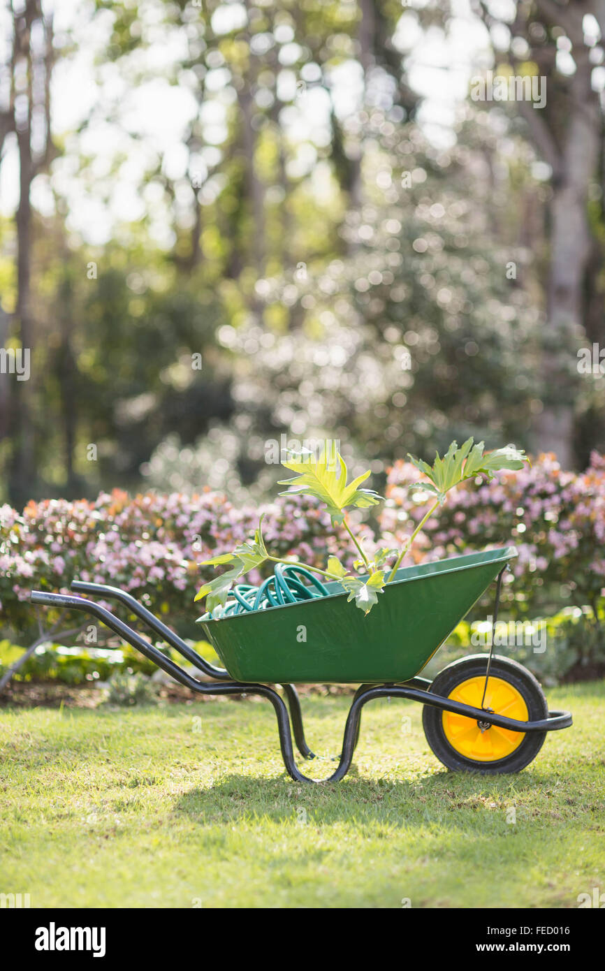 Green wheelbarrow in a garden Stock Photo - Alamy