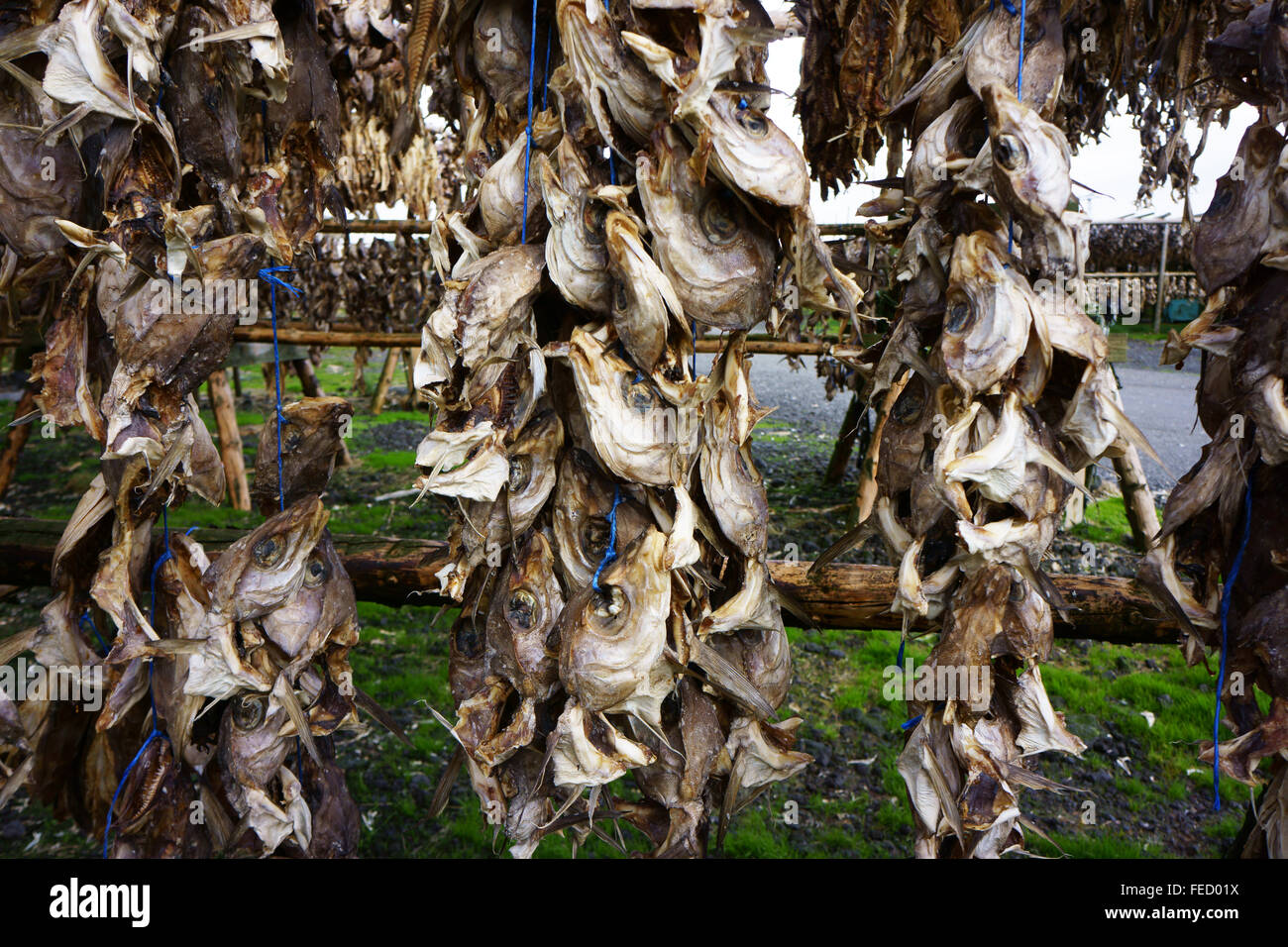 Traditional drying racks hi-res stock photography and images - Alamy