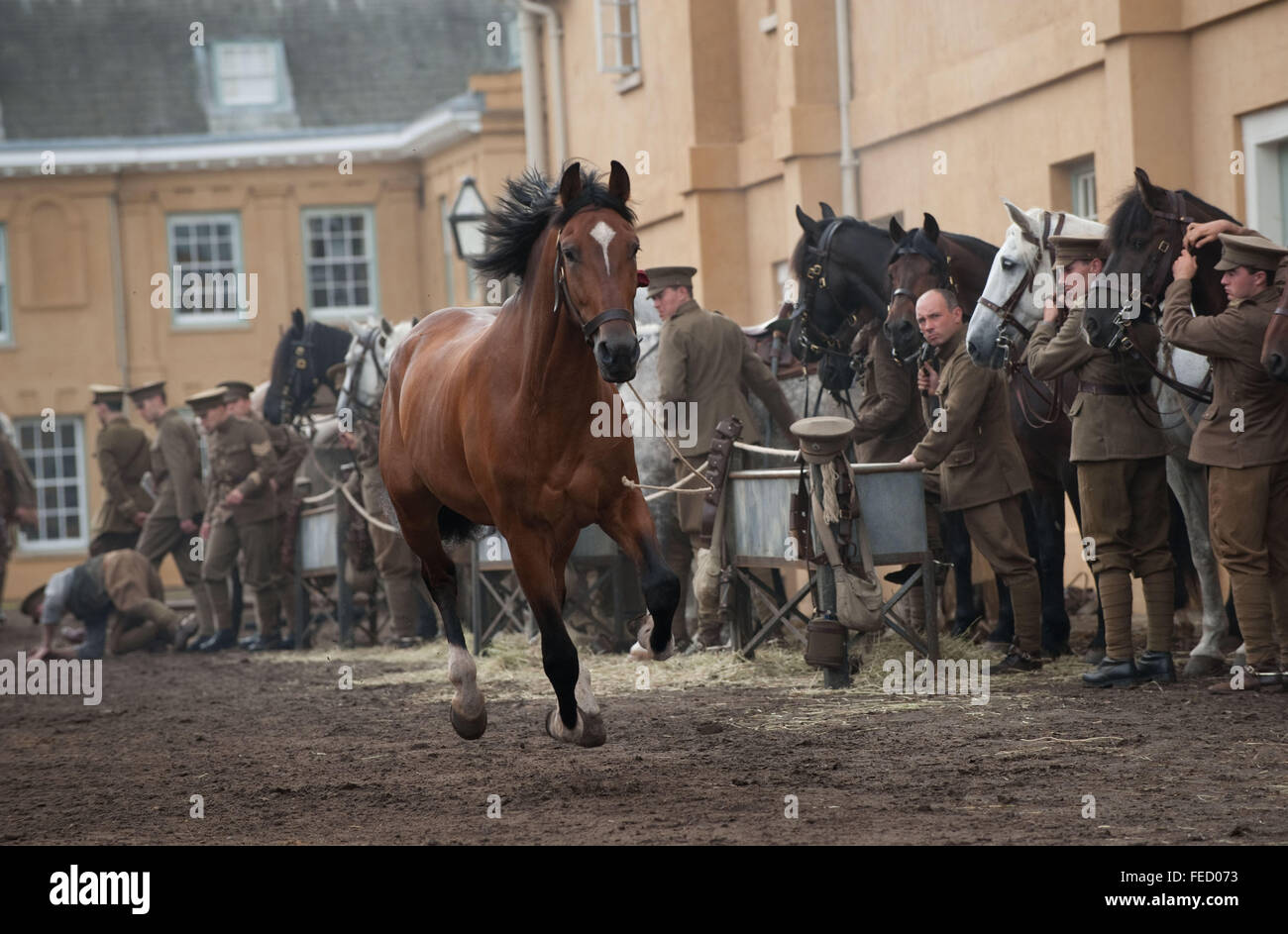 War Horse Movie