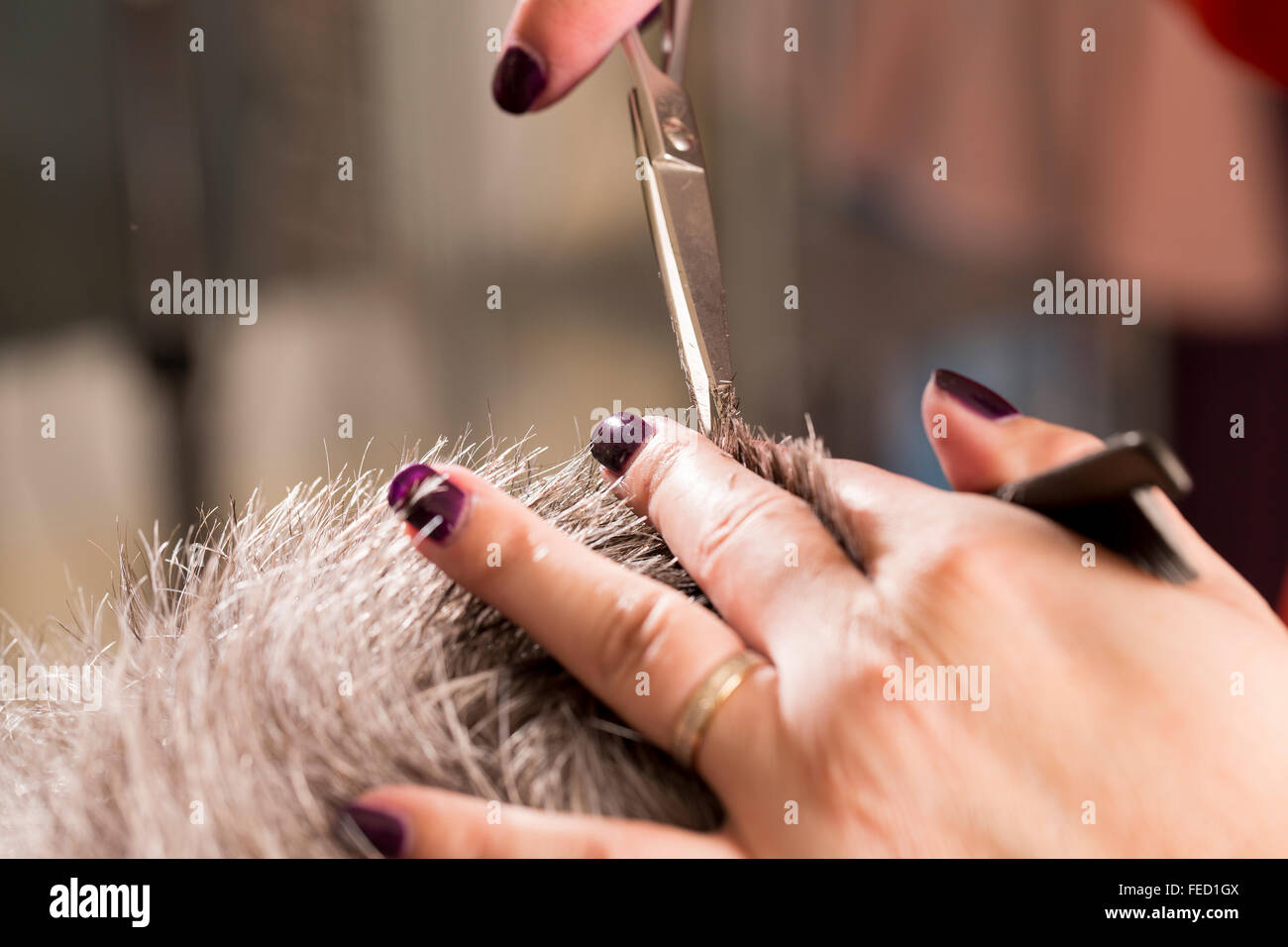 woman cuts hair with scissors, razor in professional hairdressing salon ...