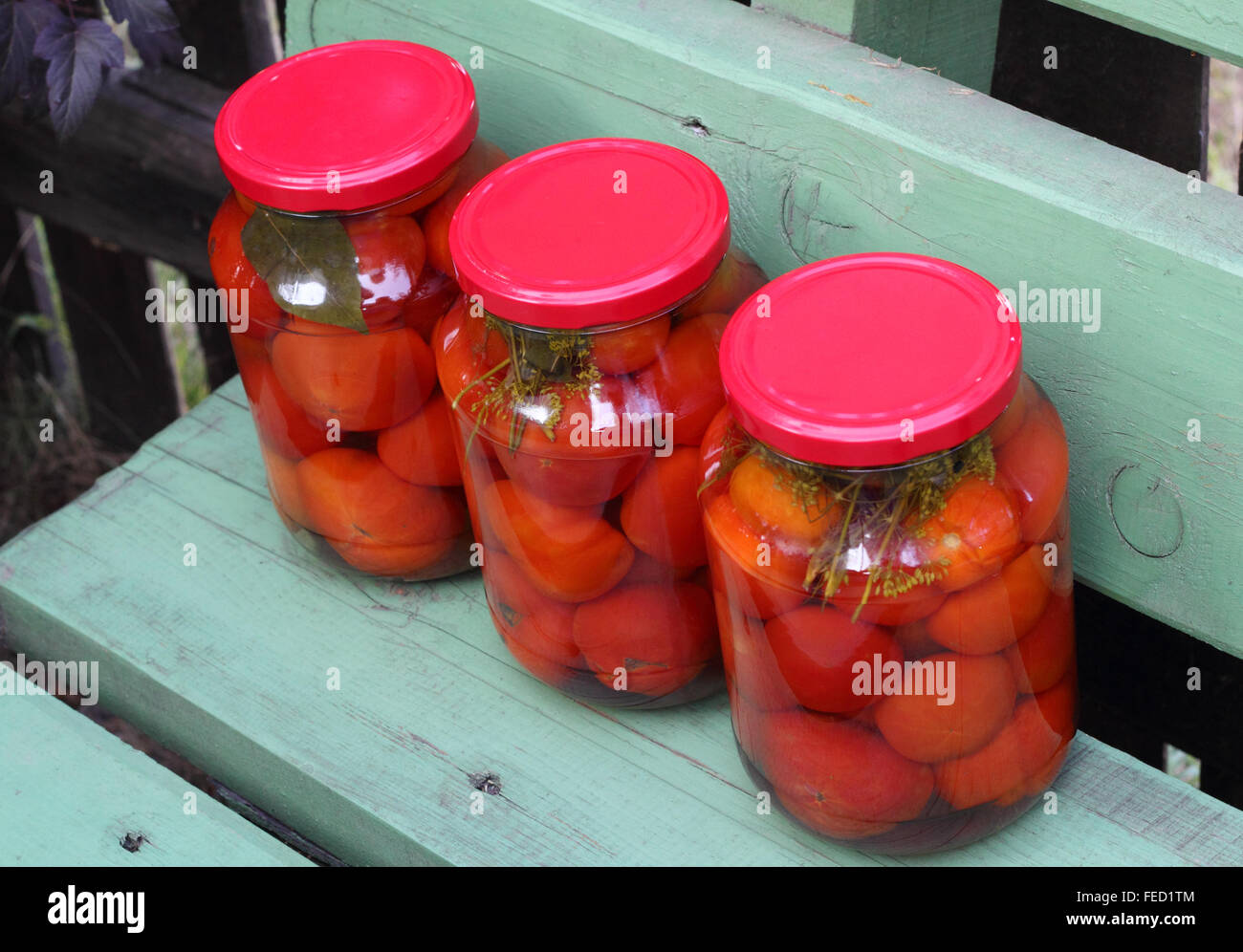 Three glass cans of red tomatoes on the green wooden bench dagonal ...