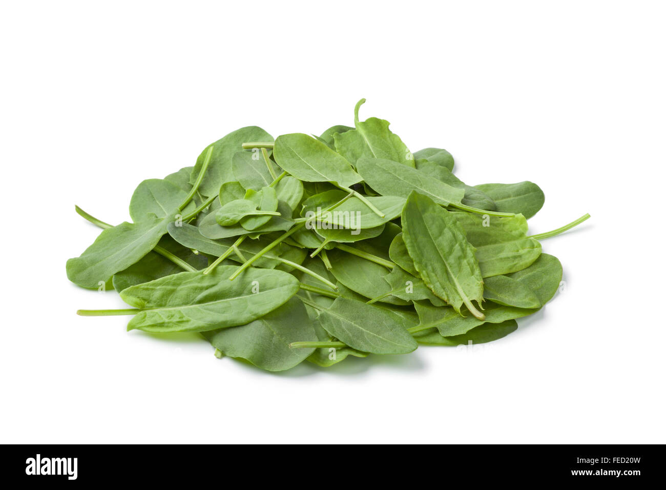 Fresh green sorrel leaves on white background Stock Photo - Alamy