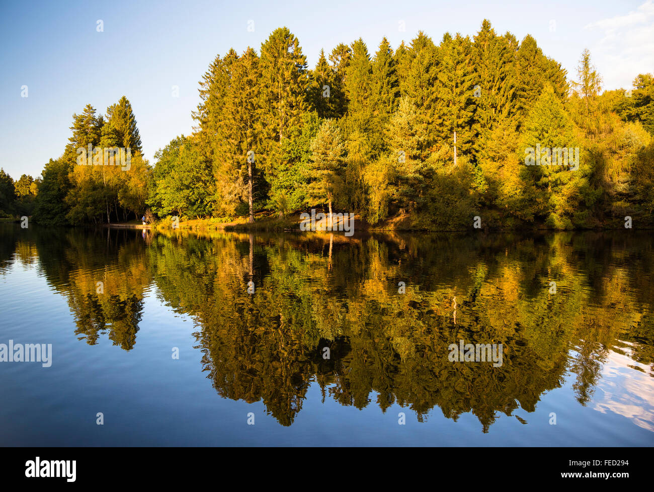 Mallards Pike Lake in the Forest of Dean, Gloucestershire, UK Stock ...